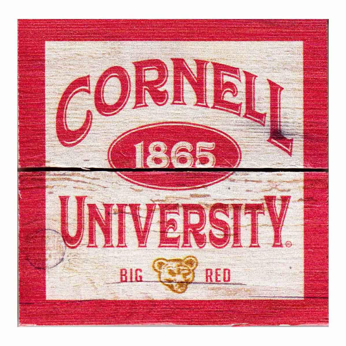 Wood Plank Cornell 1865 University Bear On C Magnet 3X3